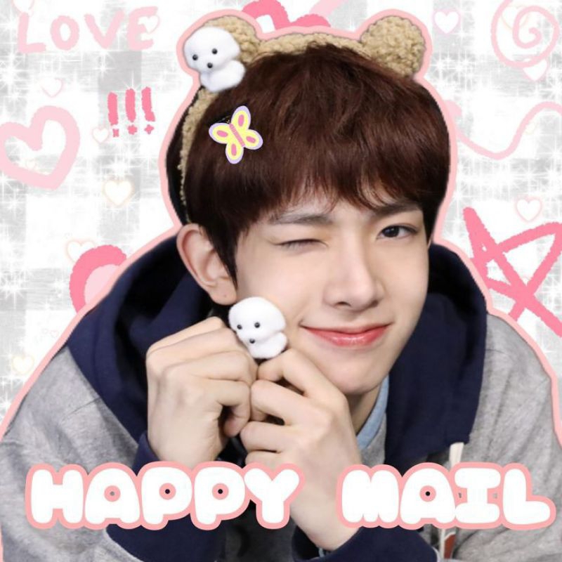 Jual PC OFC AAB ENHYPEN, BACAA DESKRIPSII YYA!! | Shopee Indonesia