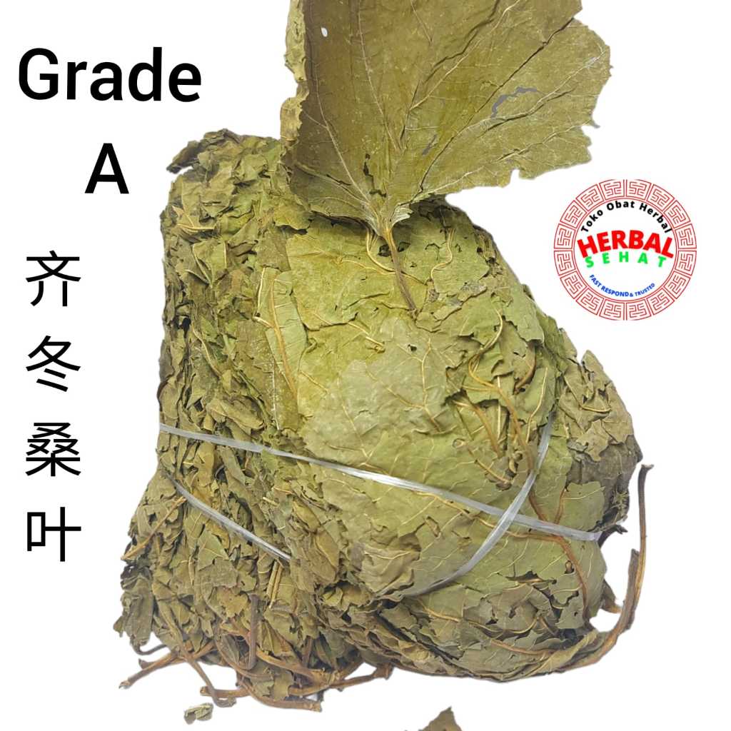 Jual 600 Gram - Sang Ye / Song Ye 散桑叶/齐冬桑叶 White Mulberry Leaf - Folium ...