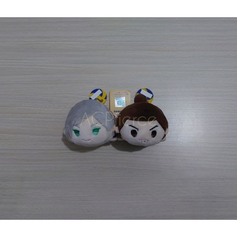 Jual Mochi Mascot Plush Haikyuu - Asahi Lev | Shopee Indonesia