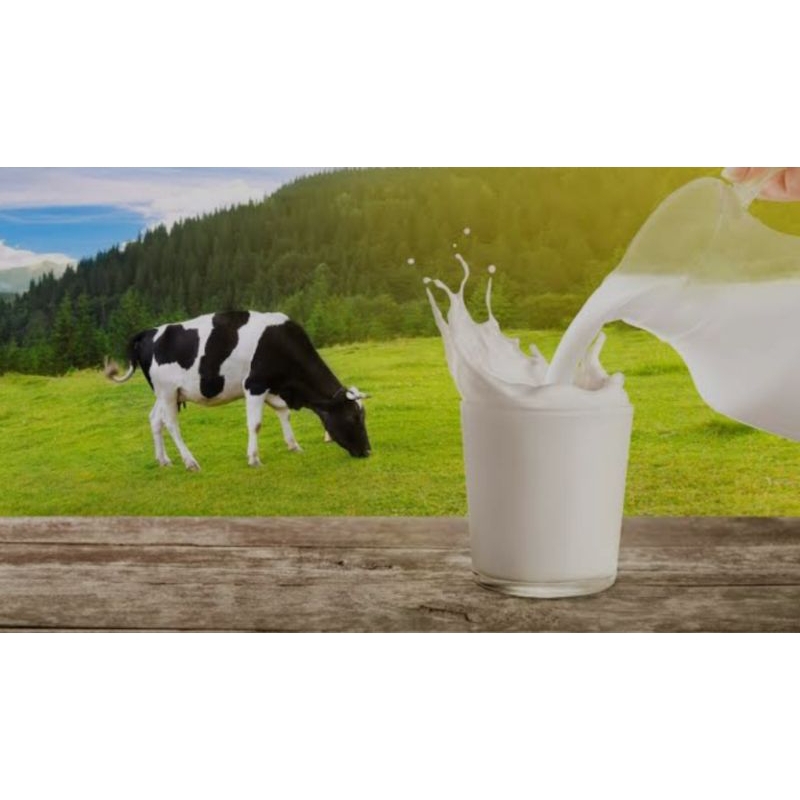 Jual Susu sapi murni sudah matang tanpa campuran air | Shopee Indonesia