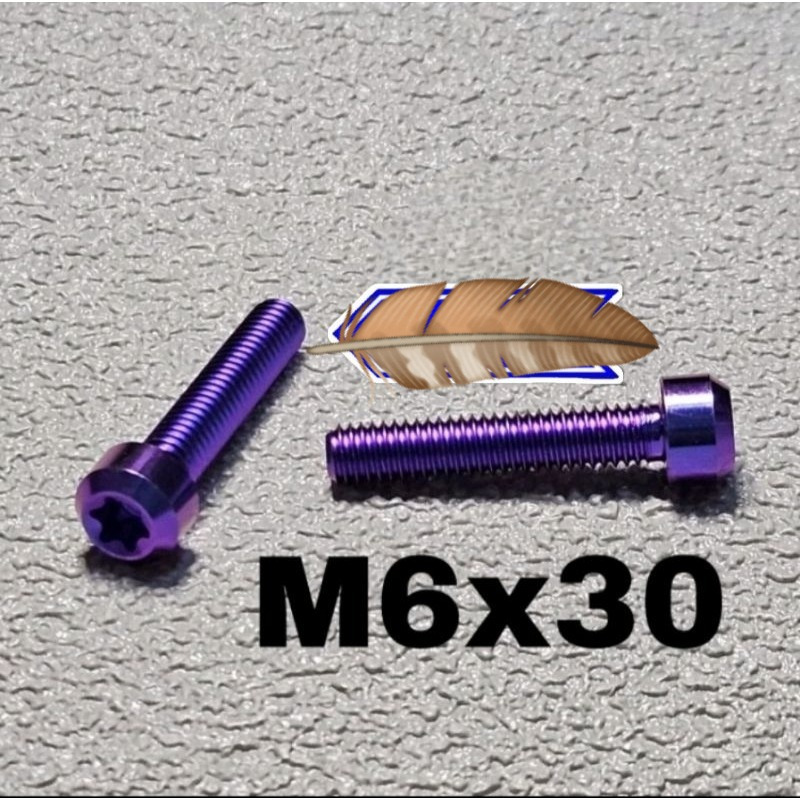 Jual LIVE - BAUT TITANIUM M6 X 30 , DRAT 10M PANJANG 3 CM ( 1 PCS ...