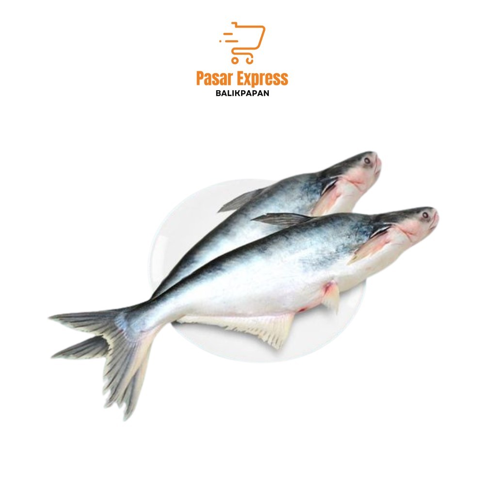 Jual Ikan Patin Segar (Besar/Sedang) - Pasar Express Balikpapan ...