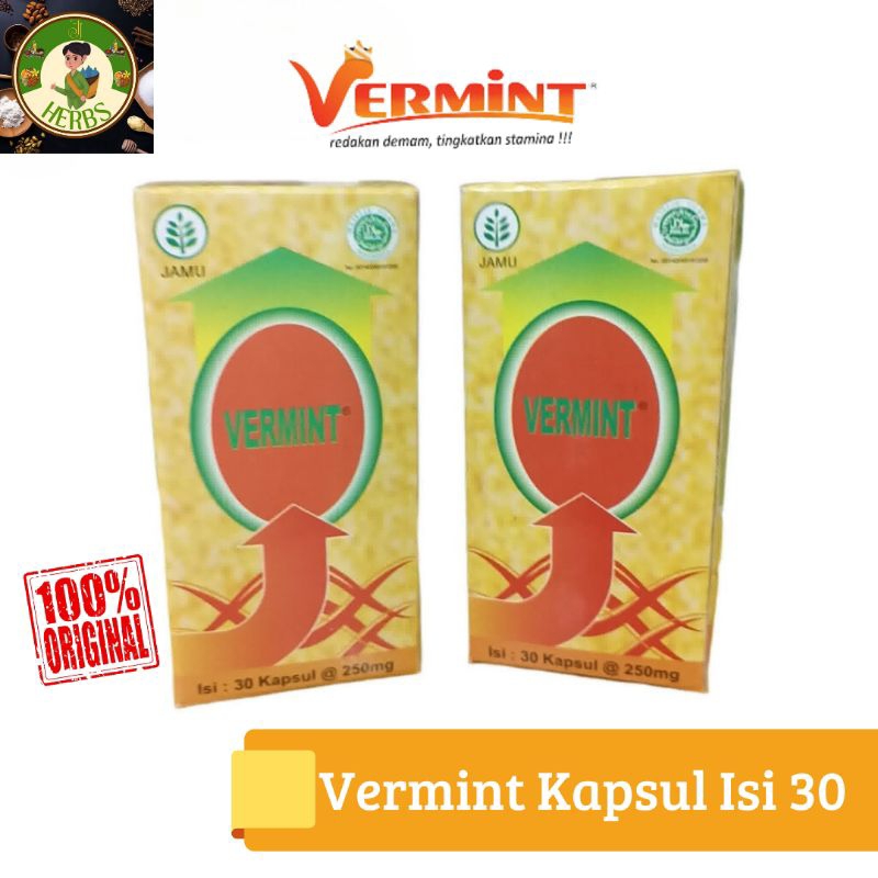 Jual Vermint Obat Tipes 30 kapsul | Shopee Indonesia