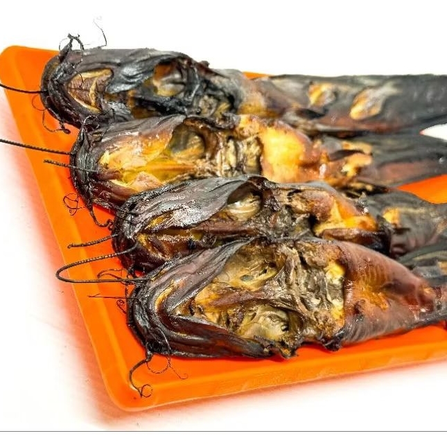 Jual Ikan Lele Asap | Shopee Indonesia