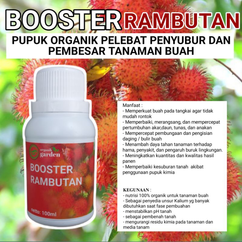 Jual RAMBUTAN | booster cair nutrisi vitamin pelebat buah RAMBUTAN 100m | Shopee Indonesia