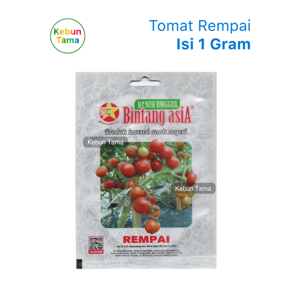 Jual Benih Tomat Rempai / Rampai Bintang Asia Isi 1 Gram | Shopee Indonesia