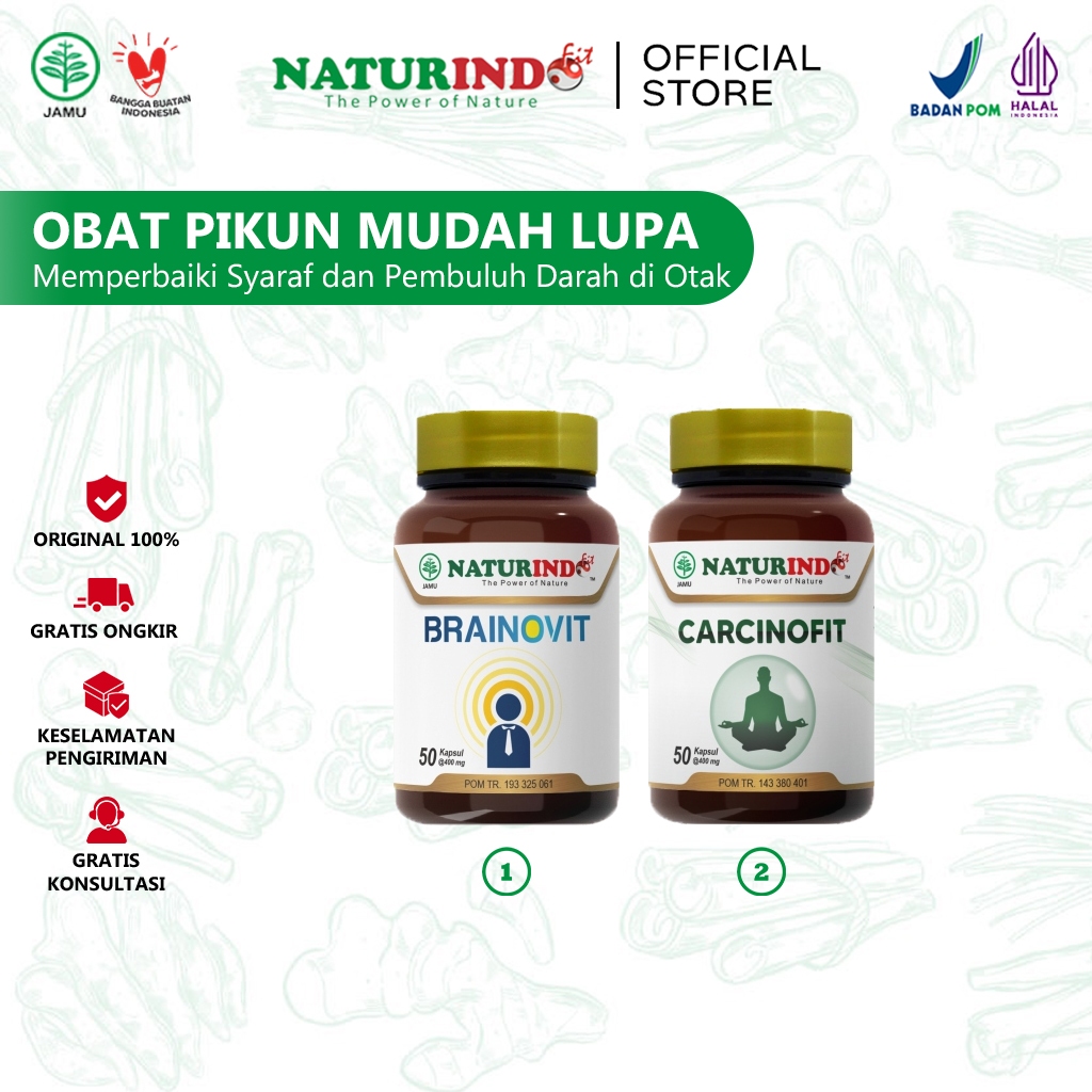 Jual NATURINDO FIT - Obat Herbal Pikun (Alzheimer) Mudah Lupa Ingatan ...