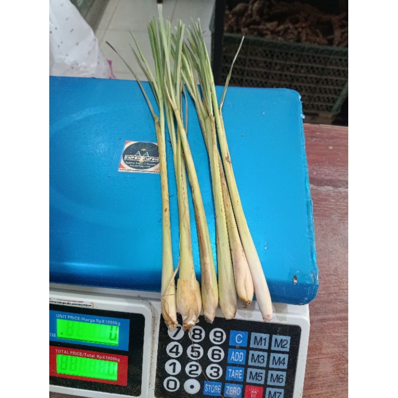 Jual sereh/serai segar 6 batang | Shopee Indonesia