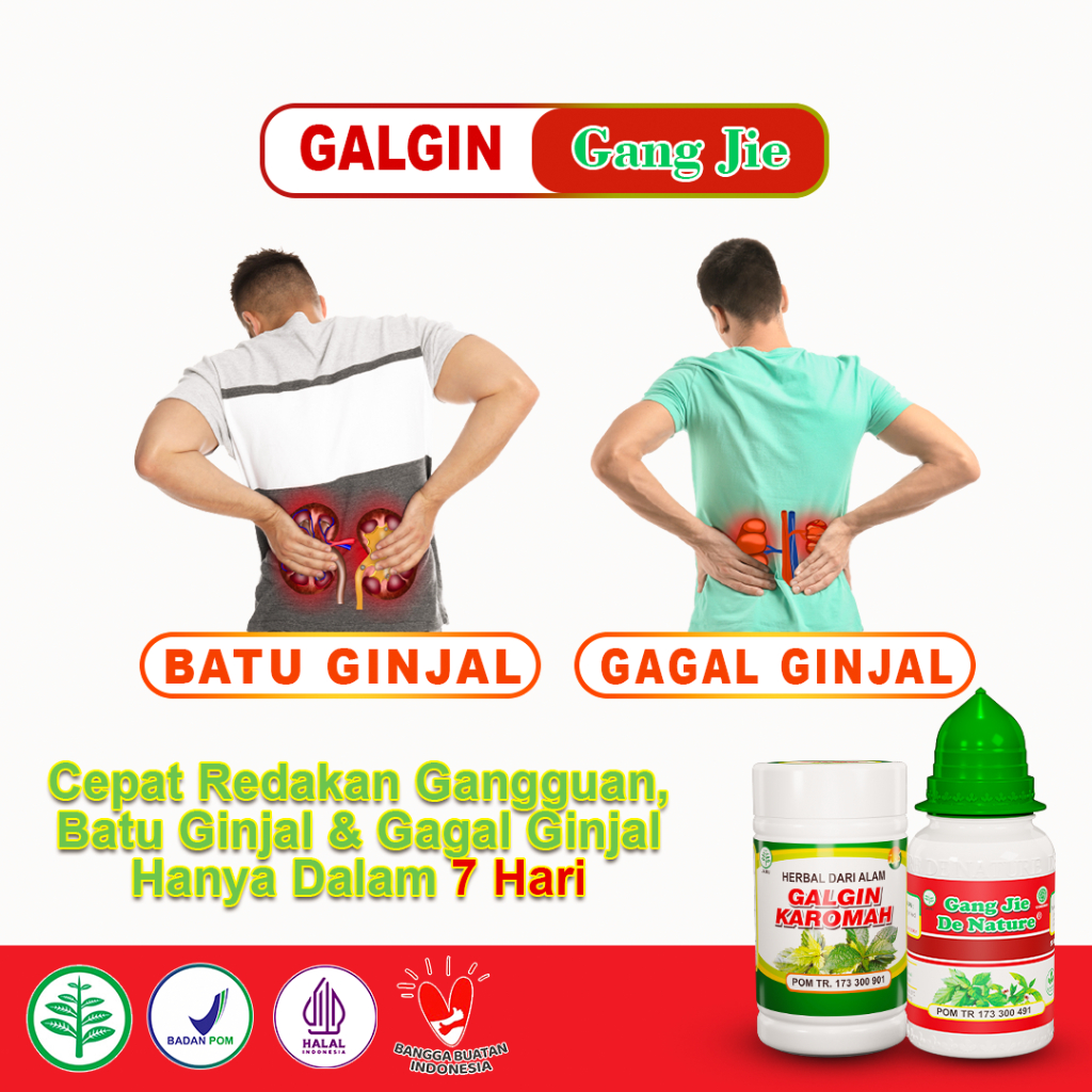 Jual Obat Kencing Batu Ginjal Penghancur Empedu Dan Karang Paling Ampuh Herbal Galgin Gang Jie ...