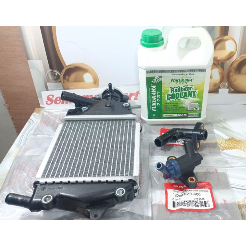 Jual Paket Komplit Radiator Assy + Thermostat + Sambungan Selang + Air ...