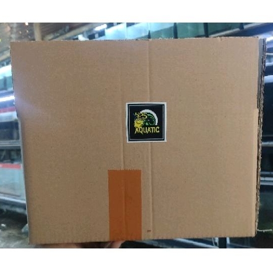 Jual Kardus Packing Merk ys 20-22 Cm Bar Rapi | Shopee Indonesia