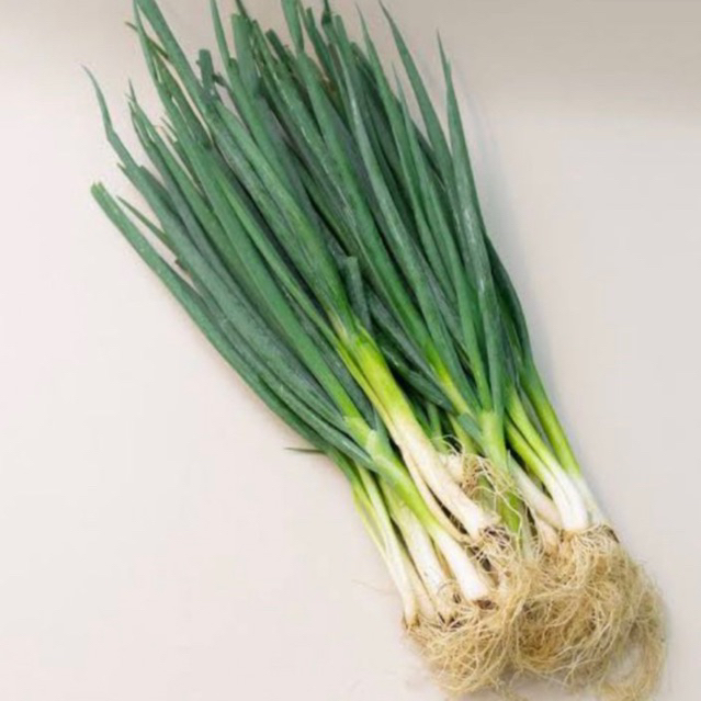 Jual DAUN BAWANG SEGAR 200GR | Shopee Indonesia