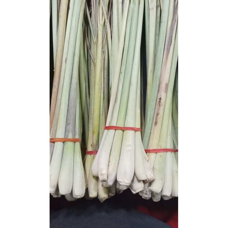Jual daun sereh berat 250grm | Shopee Indonesia