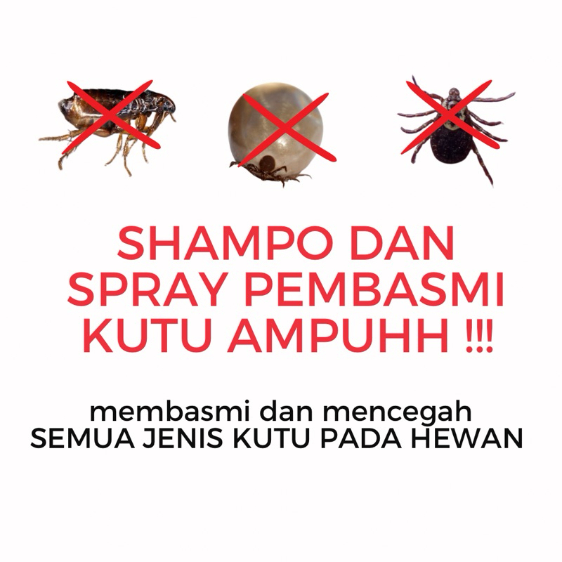 Jual PAKET ANTI KUTU A shampo kutu 1L & spray kutu 250ml | Shopee Indonesia