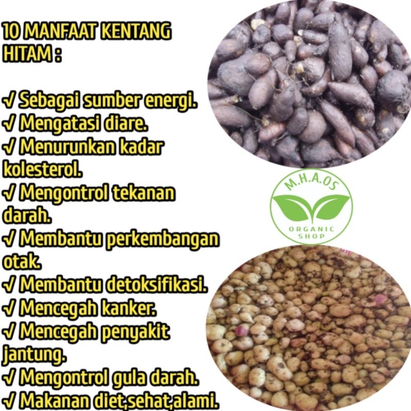 Jual Umbi kentang hitam 10 kg,siap olah/siap masak. | Shopee Indonesia