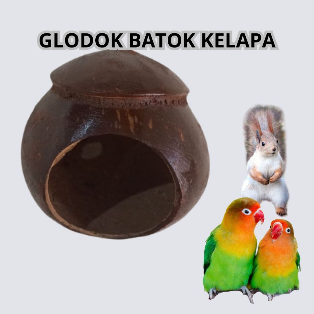 Jual GLODOK BATOK KELAPA RUMAH BURUNG LOVEBIRD,TUPAI,BAJING HAMSTER ...