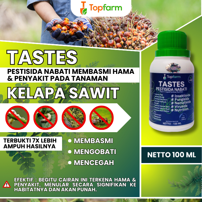 Jual Obat Hama Kelapa Sawit / Obat Mati Pucuk Kelapa Sawit / Obat Untuk ...