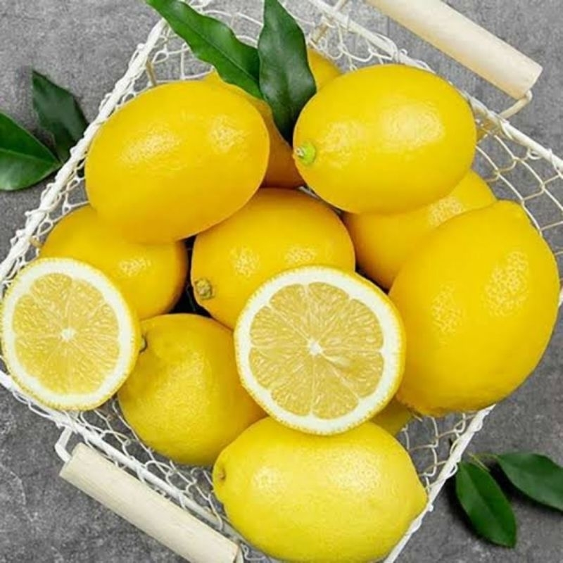 Jual Jeruk Lemon California Fresh 1kg | lemon cf | jeruk lemon segar ...
