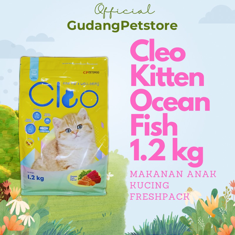 Jual CLEO KITTEN 1.2KG Ocean Fish Makanan Kucing | Shopee Indonesia