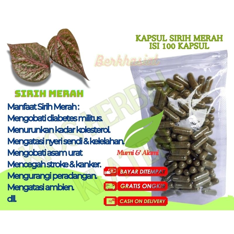 Jual SIRIH MERAH isi 100 kapsul untuk peradangan bronkitis | Shopee ...