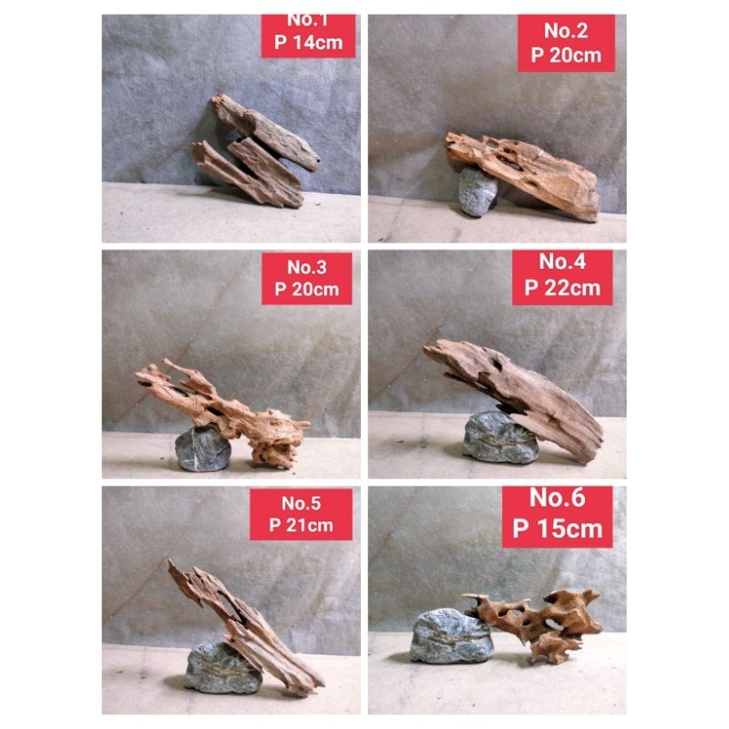 Jual kkayu rentek driftwood aquascape kayu aquarium 1 SD 50 | Shopee ...