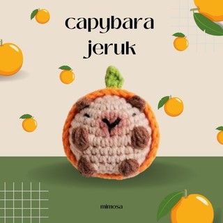 Jual Amigurumi Capybara Crochet Orange Costume | Capybara Rajut Kostum ...