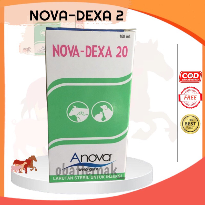 Jual NOVA DEXA 100ml - Obat Anti Inflamasi Untuk Hewan Ternak Babi Sapi ...