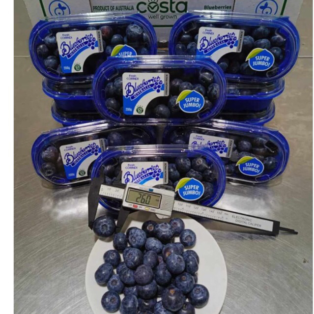 Jual Blueberry Corindi Australia Super Jumbo Berat 200gram /pack ...