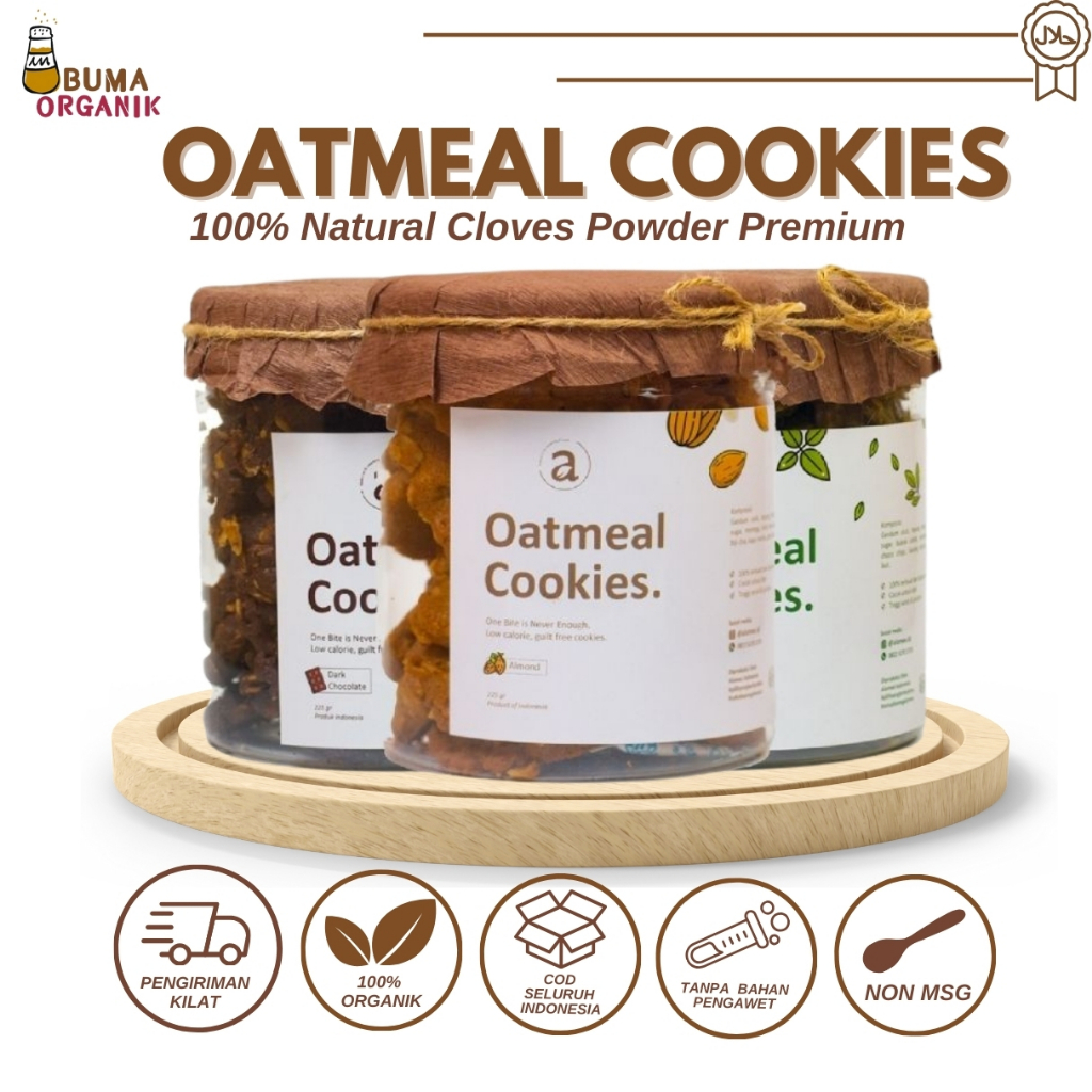 Jual OATMEAL DIET COOKIES OAT PELANCAR ASI BOOSTER SNACK SEHAT MPASI ...
