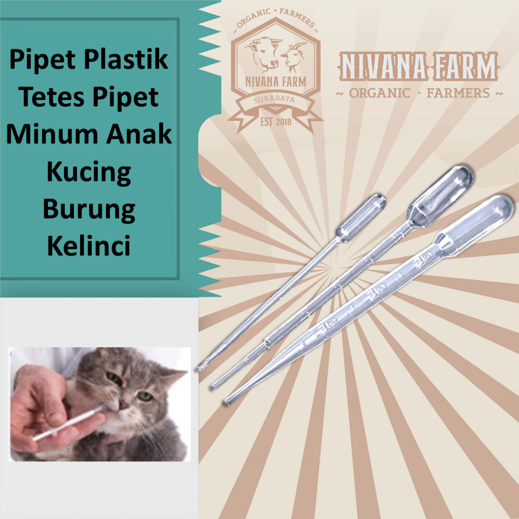 Jual Pipet Plastik Tetes Pipet Minum Anak Kucing Burung Kelinci ...