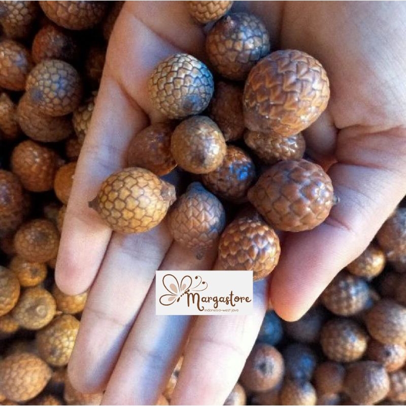 Jual Biji Rotan 500gr Dekorasi Rustik Rotan Buah Rotan Kiloan | Shopee ...