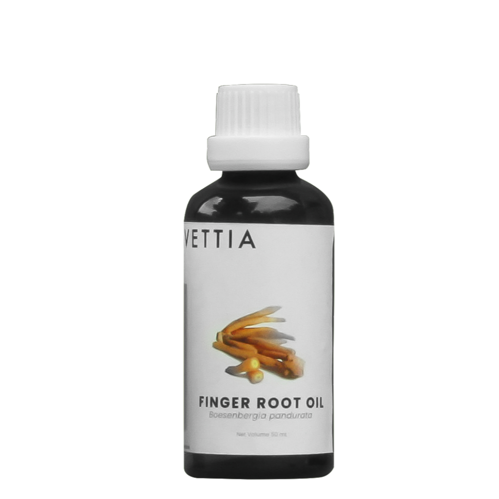 Jual 50 ml - minyak atsiri temu kunci / finger root essential oil ...