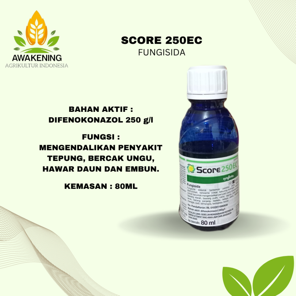 Jual SCORE 250EC 80ML FUNGISIDA SISTEMIK difenokonazol | Shopee Indonesia
