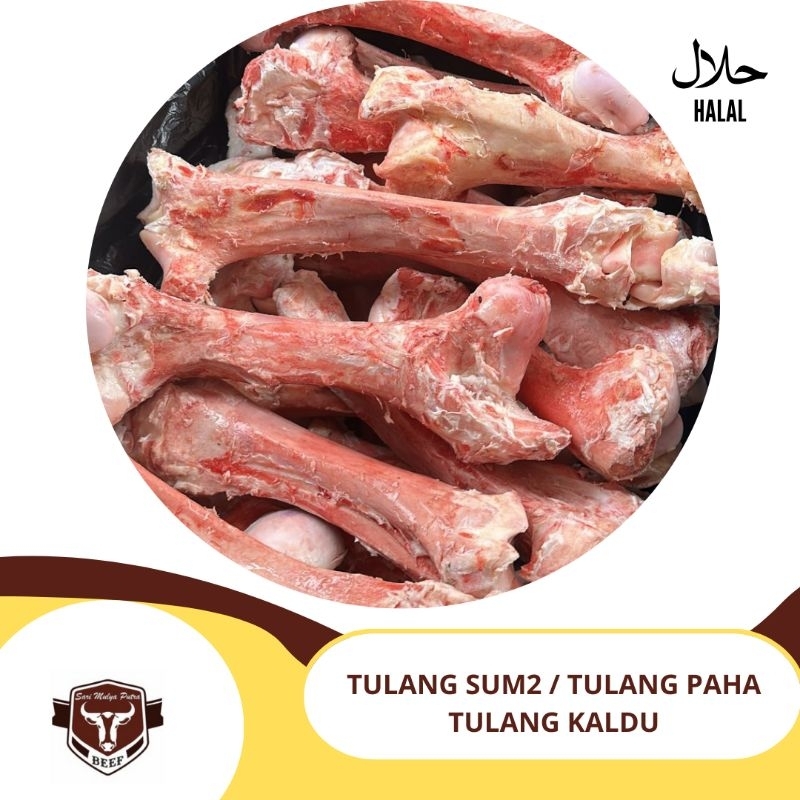 Jual tulang sum sum / sum sum sapi / skengkel | Shopee Indonesia