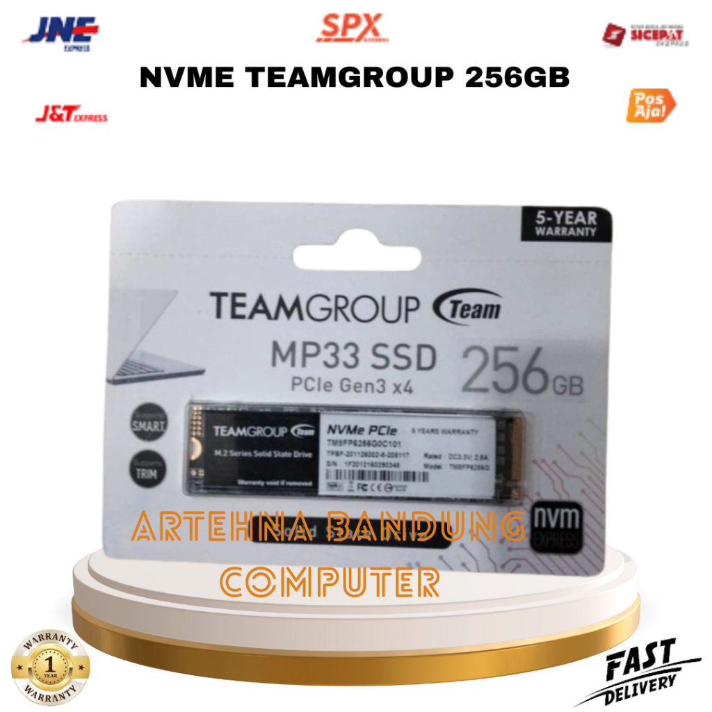 Jual ssd nvme team group mp33 256gb m2 | Shopee Indonesia