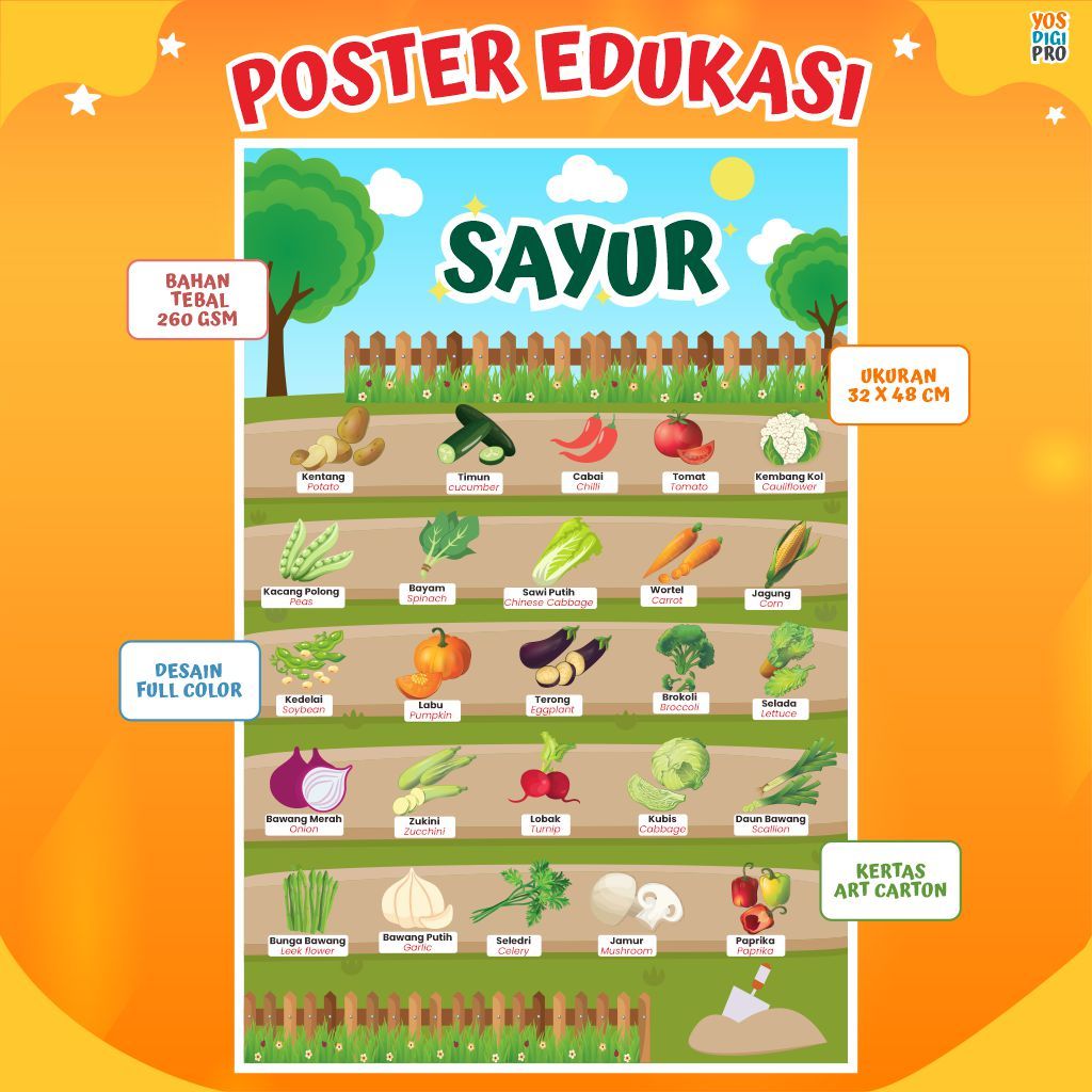 Jual Poster Edukasi Anak Usia Dini, TK, SD Belajar mengenal Nama Sayur ...