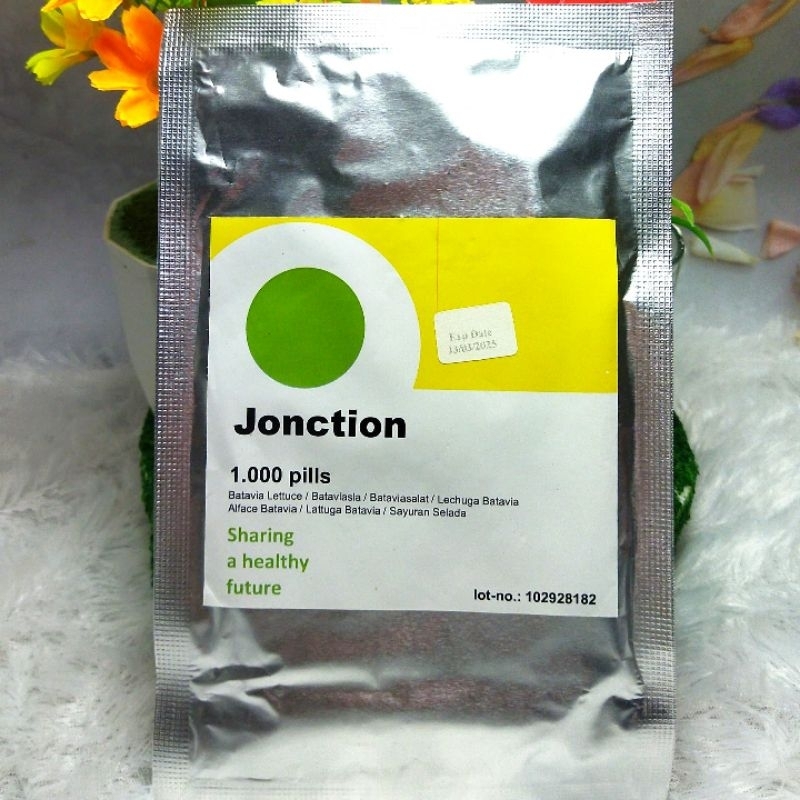 Jual Benih Bibit Selada JONCTION RZ 1000 Pills | 2500 Pills Rijk Zwaan ...