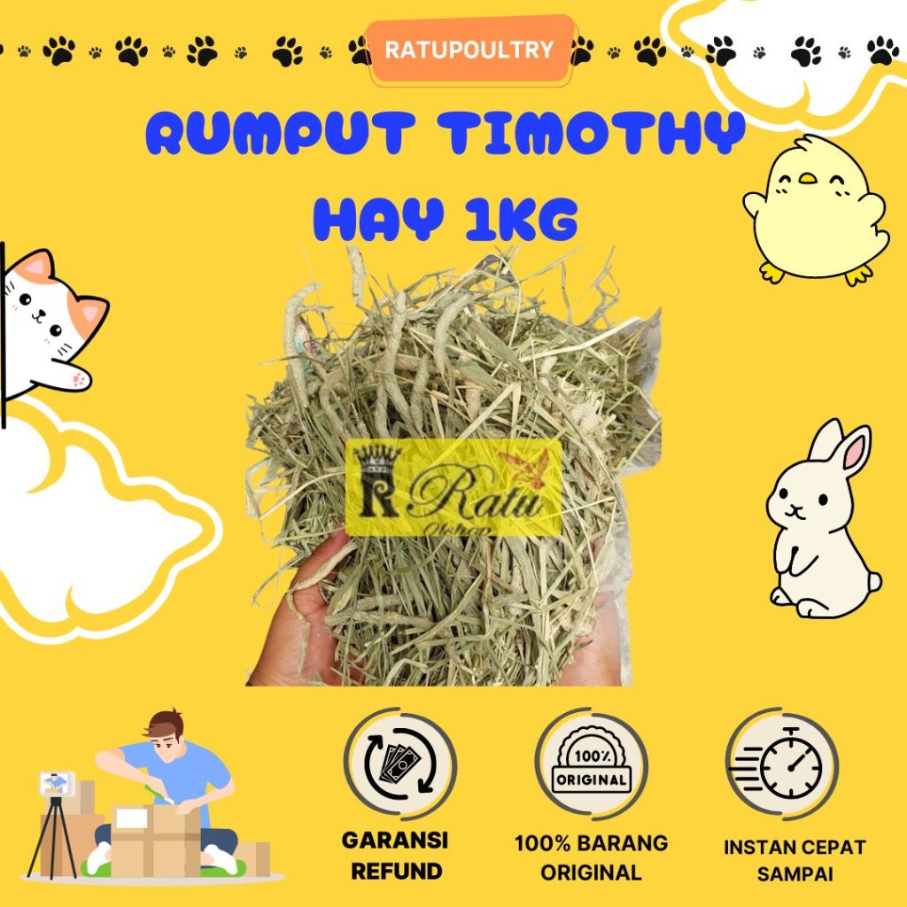 Jual Timothy Hay 1kg - Rumput Hay - Hay Kelinci - KEMASAN 1KG | Shopee ...