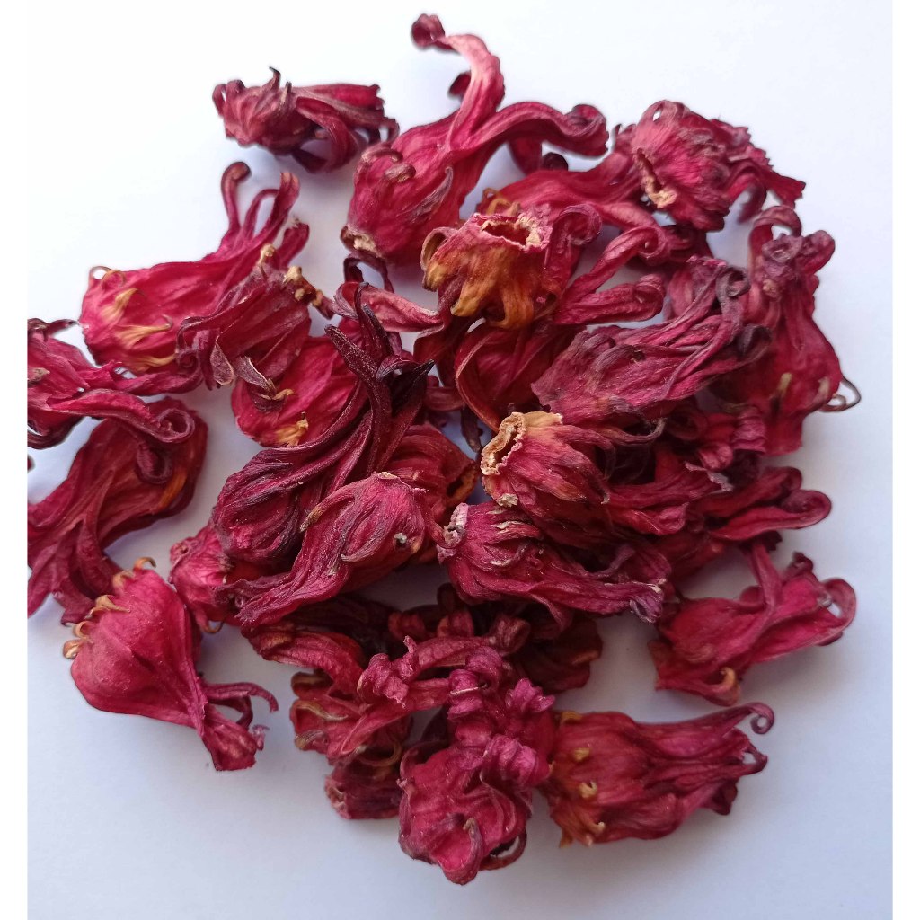 Jual BUNGA ROSELA MERAH KERING 500GRAM | Shopee Indonesia