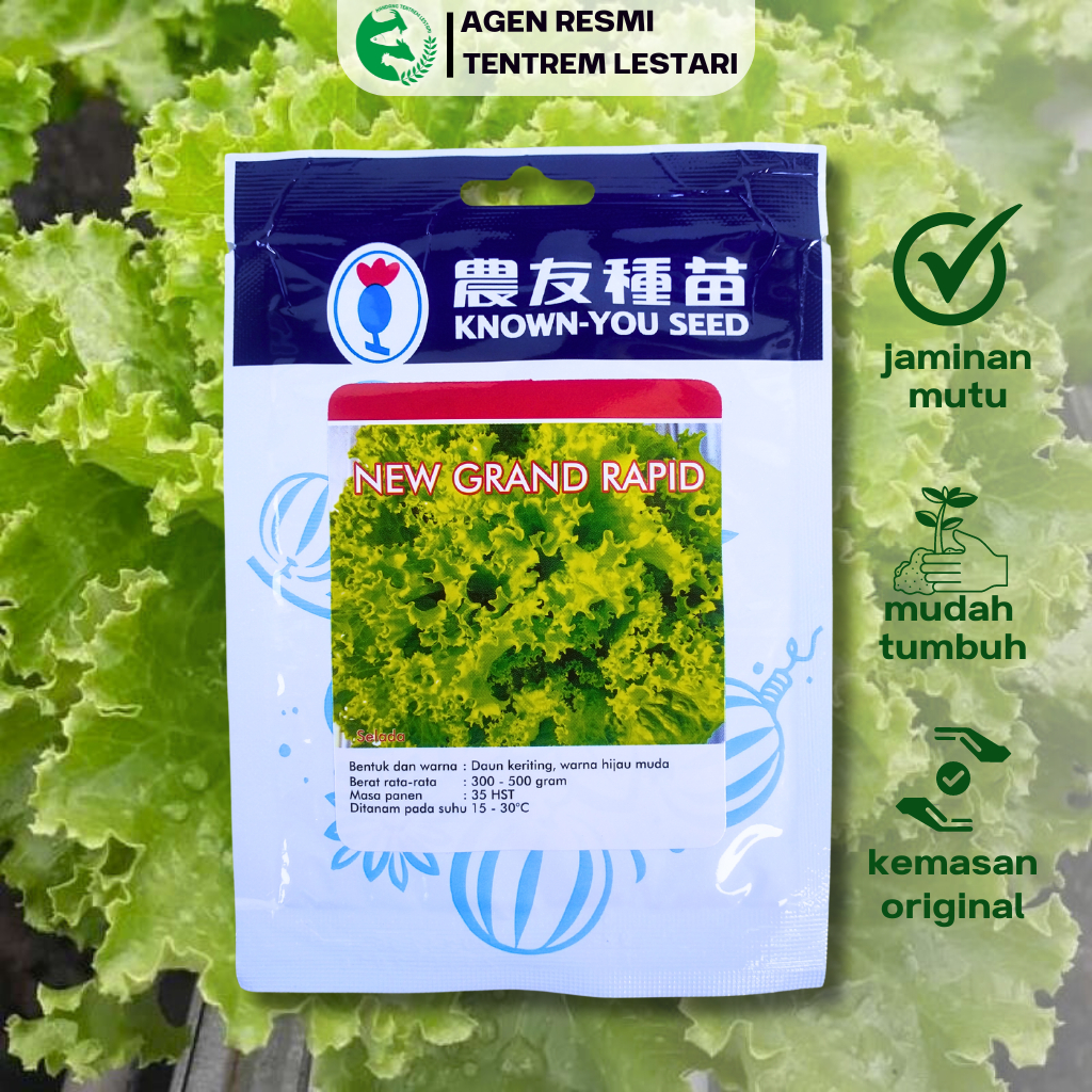 Jual Benih Selada NEW GRAND RAPID 10 gr Known You Seed | Shopee Indonesia