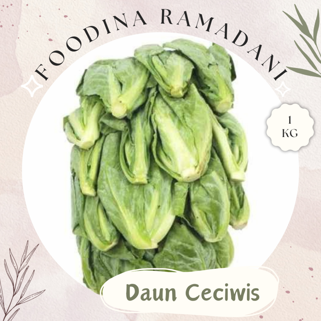 Jual DAUN CECIWIS Cuciwis - Cameo Baby Kol Fresh [ Berat 1.000gr ...
