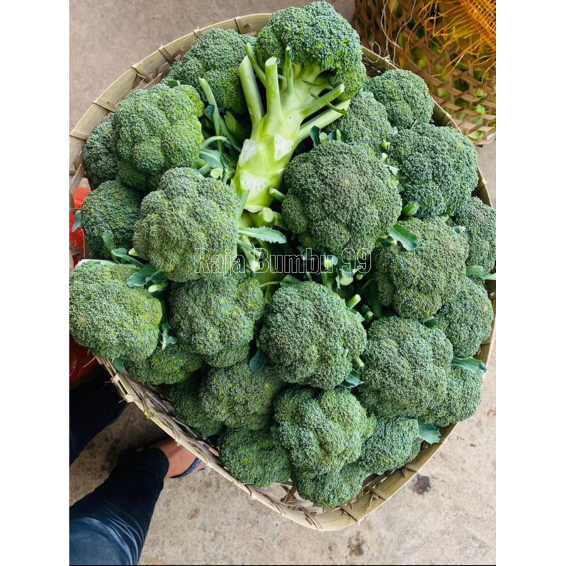 Jual sayur BROKOLI LOKAL 500gr | Shopee Indonesia