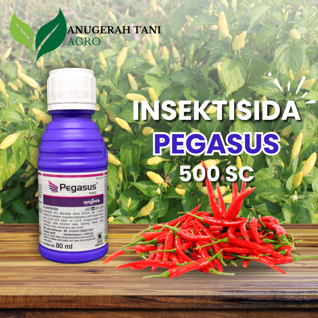 Jual INSEKTISIDA PEGASUS 500 SC PEMBASMI HAMA THRIP KEMASAN 100 ML ...