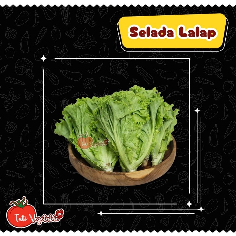 Jual Selada Keriting Hijau - Selada Lalap - Lollorosa || Sayuran Segar ...