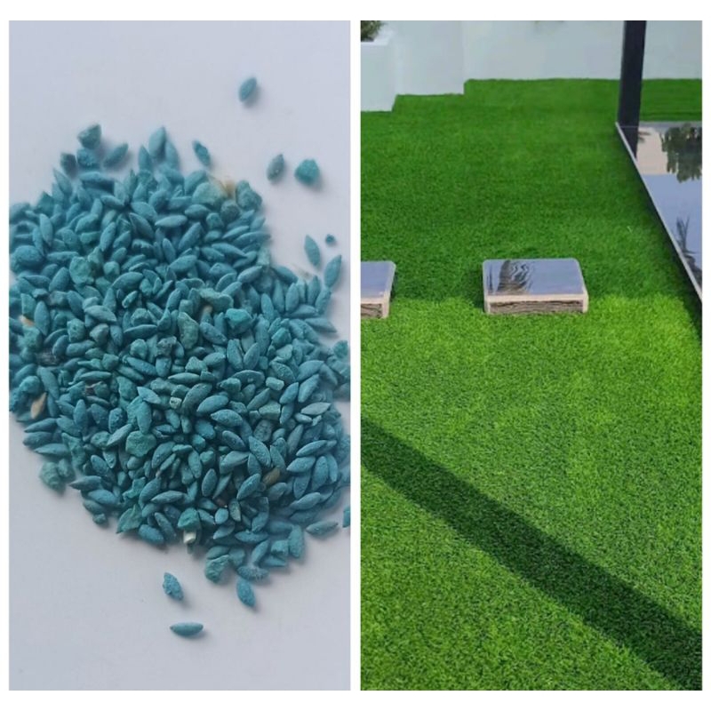 Jual 50 Benih Biji Rumput jepang | Shopee Indonesia