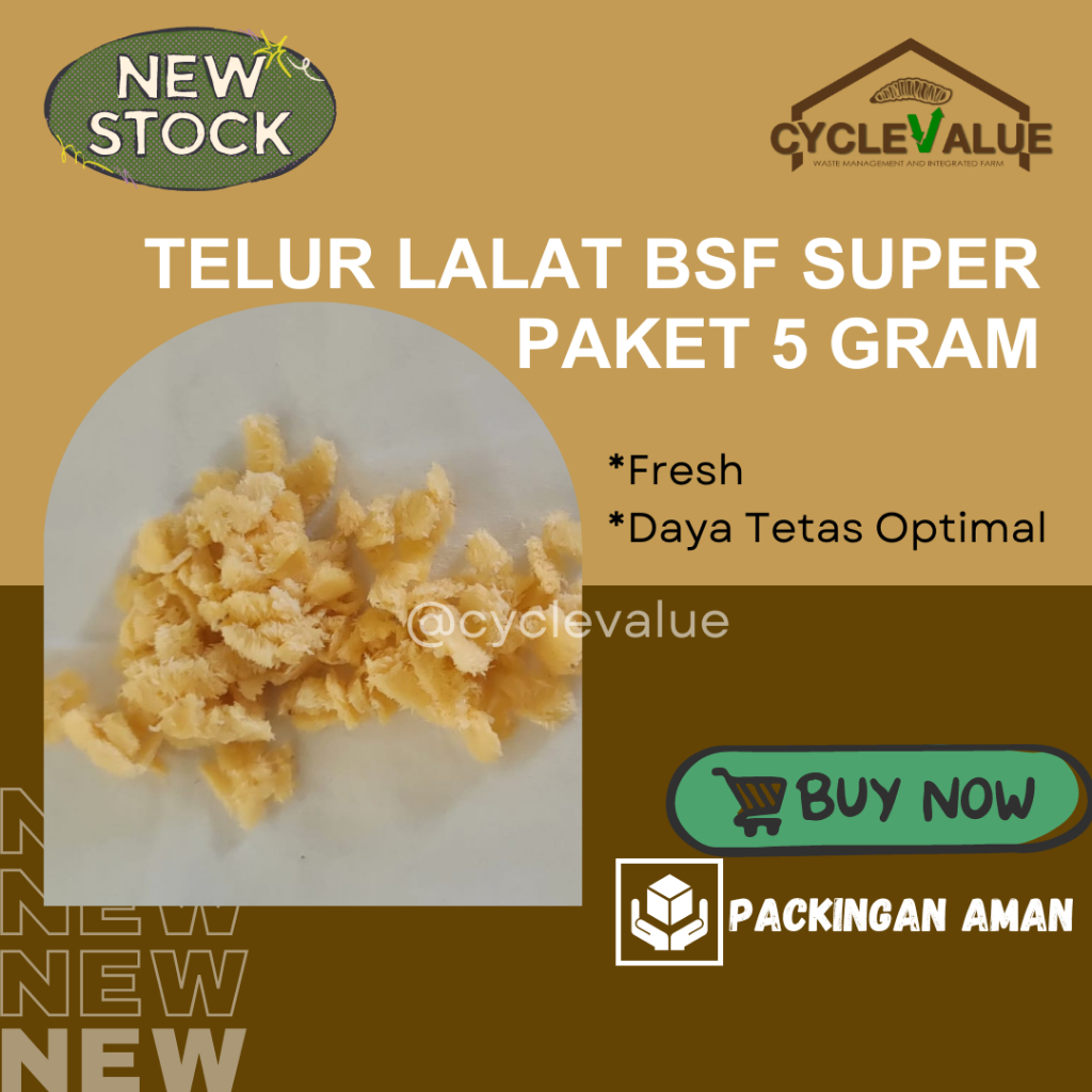 Jual Telur Lalat BSF Super Paket 5 Gram | Shopee Indonesia