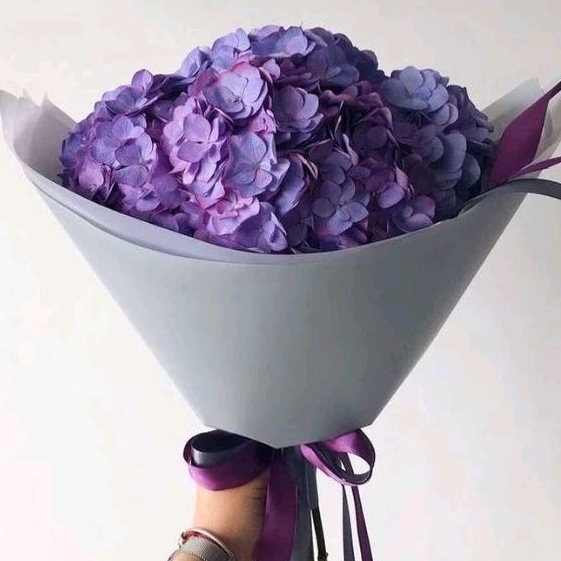 Jual Purple Hydrangea | bunga kembang bokor warna ungu tua asli segar ...