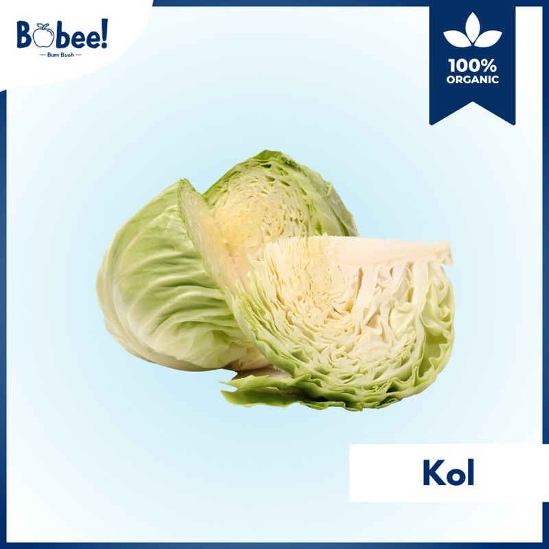 Jual Kol Super 1kg Fresh & Premium | Bobee.official - (Instant/Sameday ...