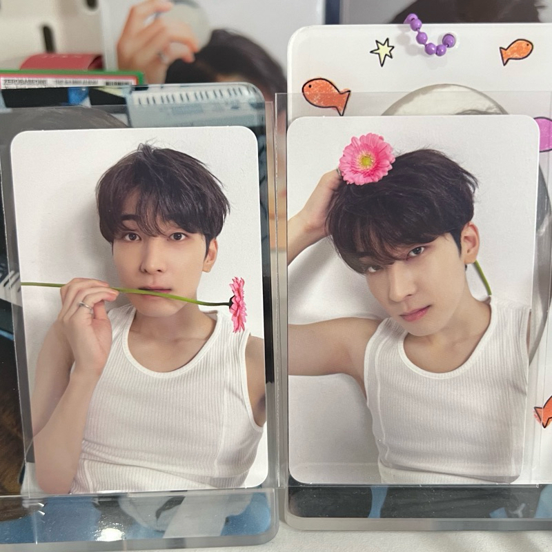 Jual seventeen best album 17 is right here dear ver. photocard wonwoo | Shopee Indonesia