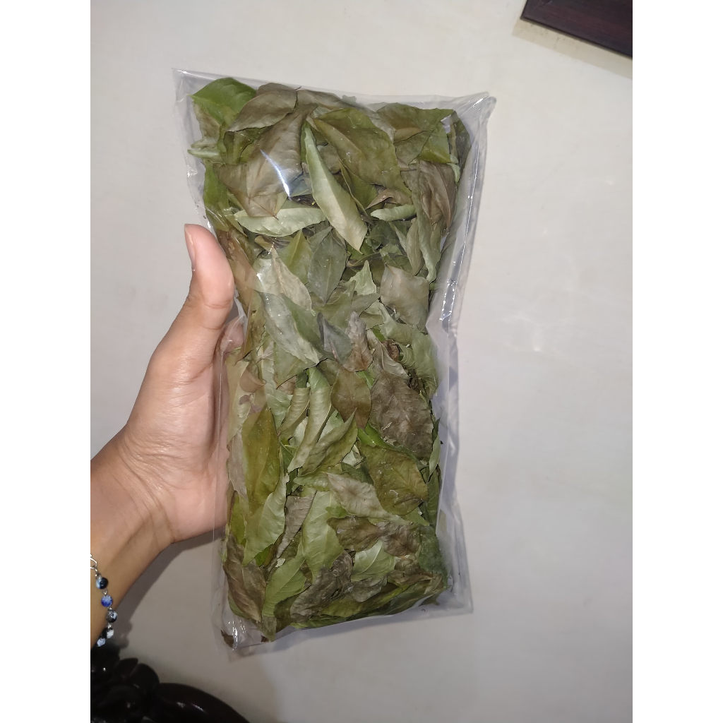 Jual Daun Kari Kering Alami 10gr Penyedap Masakan, Salam Koja/ Temurui ...